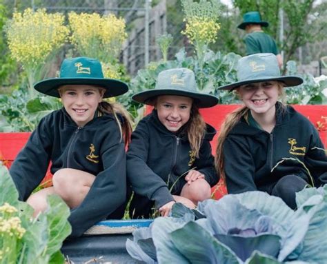 Hurstbridge Primary School