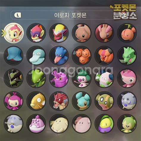 이로치 포켓몬 분양 레전드 아르세우스 닌텐도 중고나라