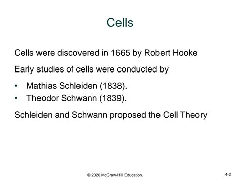 Solution Cell Structure Function Studypool
