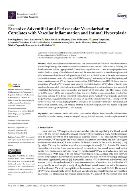 Pdf Excessive Adventitial And Perivascular Vascularisation Correlates With Vascular