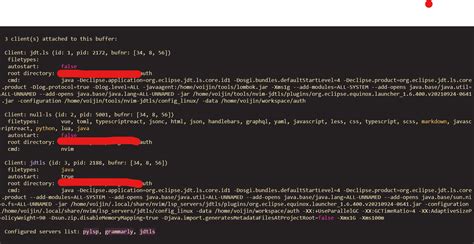 When I Open Java File I See In Lsp Info That Both Jdtls And Jdtls Are Available And They Both
