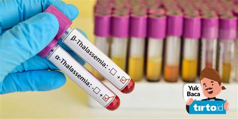 Apa Itu Thalasemia Minor Penyebab Dan Bedanya Dengan Mayor