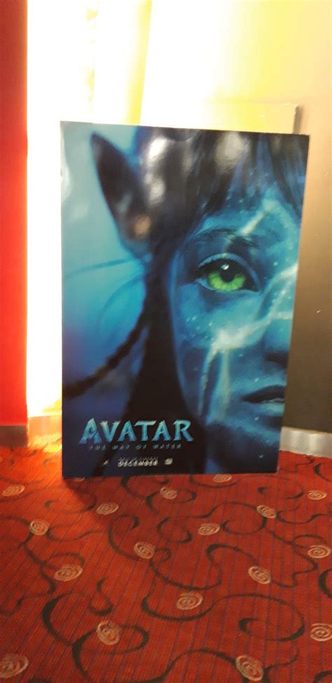 익스트림무비 ‘아바타 2 해외 개봉 극장 풍경