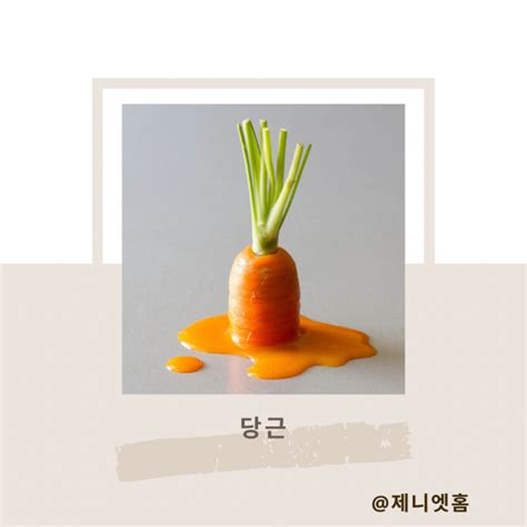 봄에 당근심는시기 당근모종 심는시기 당근 씨앗 파종시기 당근재배 방법은 네이버 블로그