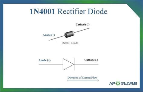 Unlock The Potential Of 1n4001 Diode Comprehensive Datasheet Analysis
