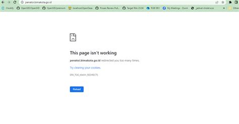 Bug Tampilan Opensid Pada Server Kota Bima Tidak Dapat Diakses Errtoomanyredirects · Issue