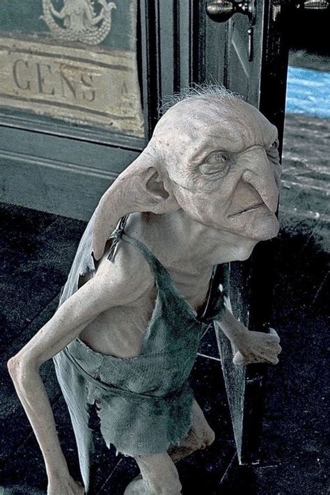 Kreacher Kreacher Harry Potter Harry Potter Characters Harry Potter