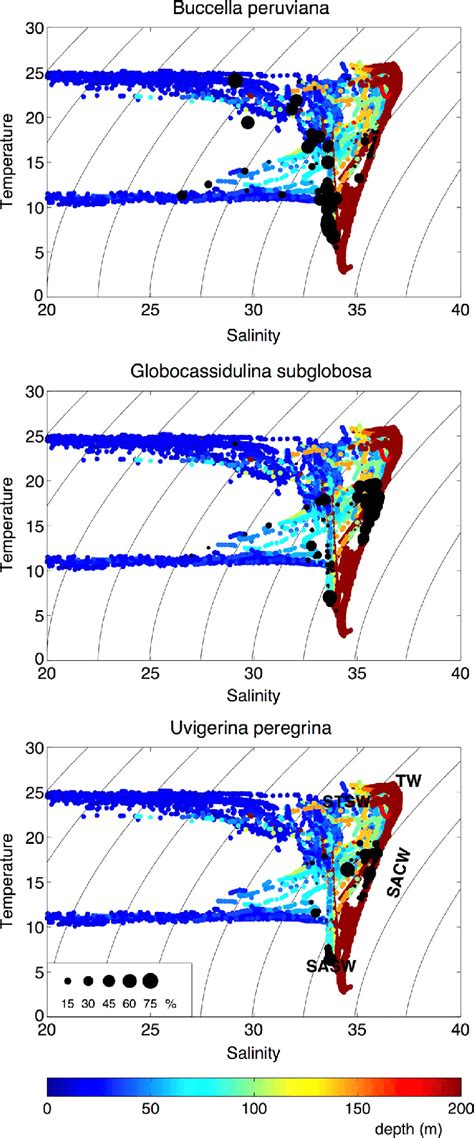 Temperature Salinity Diagrams And Relative Density Of Three Download Scientific Diagram