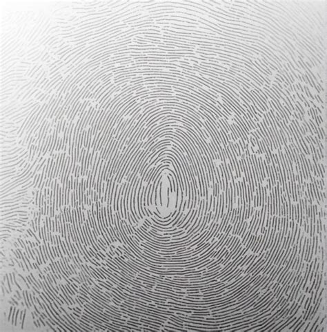 Human Fingerprint Pattern Background Security Background It Background Fingerprint Premium Ai