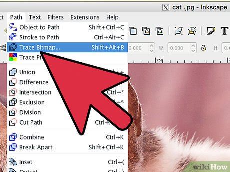 How To Convert Raster To Vector With Pictures WikiHow Tech