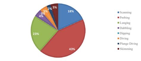 The Proportion Of Foraging Behavior In Waterbirds In Ujung Pangkah Download Scientific Diagram