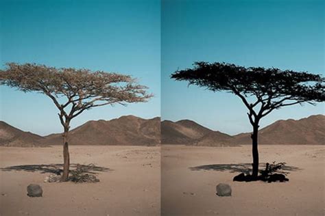 efficiency in editing maximizing results with multiple clipping paths by afroja islam medium