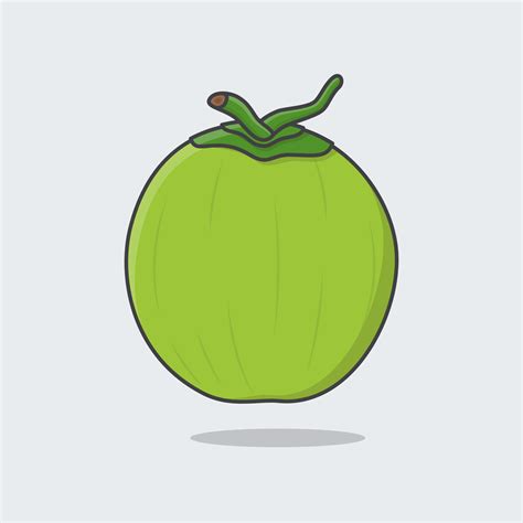 Verde Coco Dibujos Animados Vector Ilustración Fresco Joven Coco Plano Icono Contorno 28144710