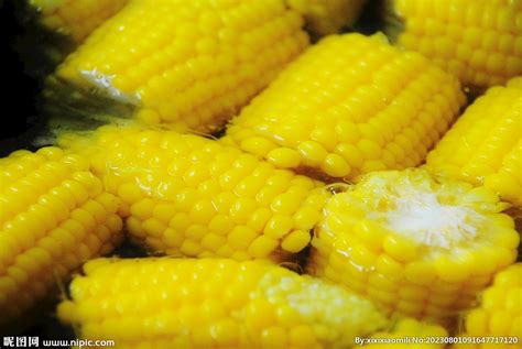 玉米摄影图 蔬菜 生物世界 摄影图库 昵图网