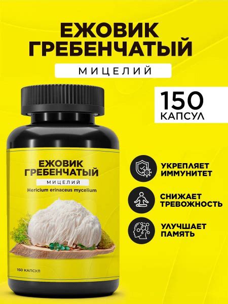 Ежовик Гребенчатый Мицелий - купить с доставкой по выгодным ценам в ...