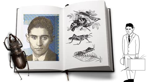 An Examination Of The Bug Character In The Metamorphosis Of Kafka