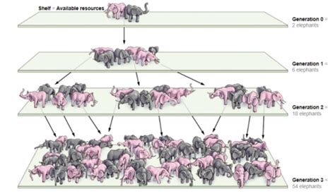 Chapter 12 Natural Selection Flashcards Quizlet