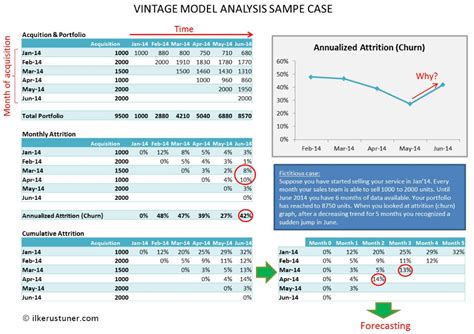 Define Vintage Analysis At Angela Hagberg Blog