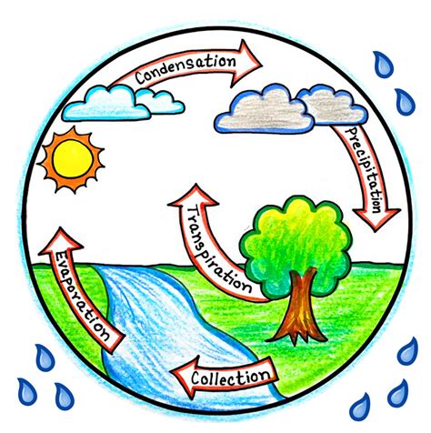 Water Cycle Project Template Beginner Life Diy