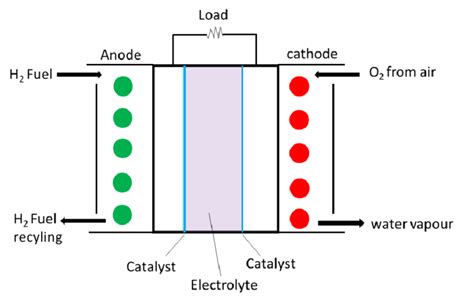 Schematic Diagram Of A Fuel Cell Download Scientific Diagram