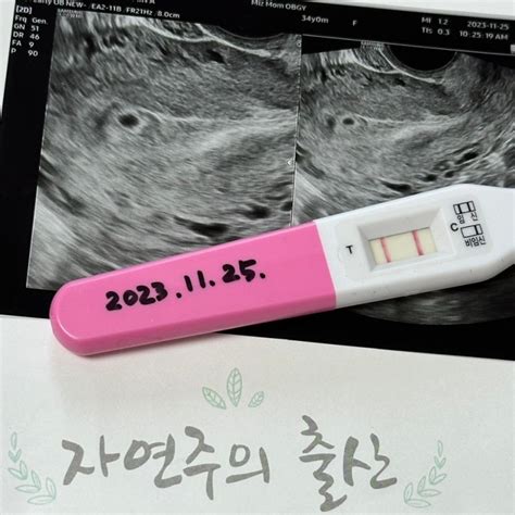 배란 10일차 배란테스트기 임신 확인 아기집 보이는 시기 네이버 블로그