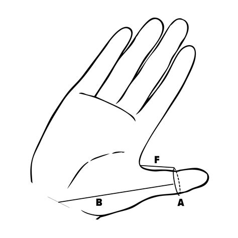 Sizing Splints Mckie Splints