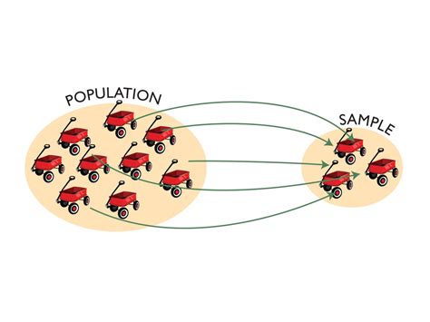 What Is Population Definition In Math At William Deas Blog
