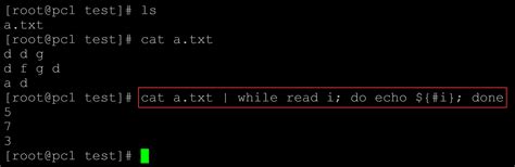 Linux 中输出变量字符串的长度 小鲨鱼2018 博客园