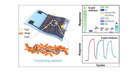 Polyaniline Cuo Nanoparticle Composites For Use In Selective H2s Sensors Acs Applied Nano