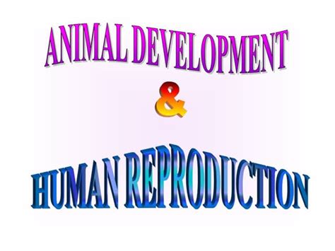 Reproduction And Development Ppt