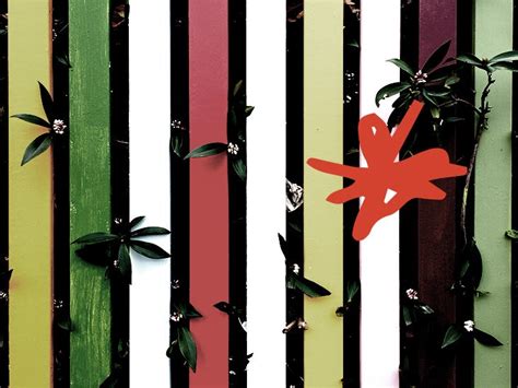 Types Of Sexuality And Their Definitions