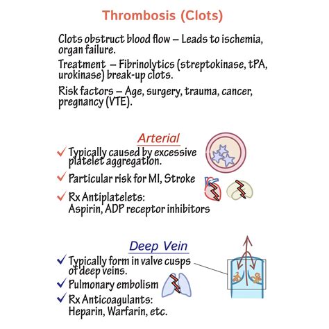 Pulmonary Embolism Pathology