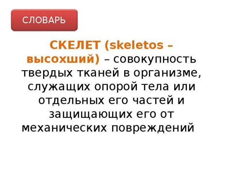 Презентация на тему Скелет скачать бесплатно презентации по Биологии скачать презентацию