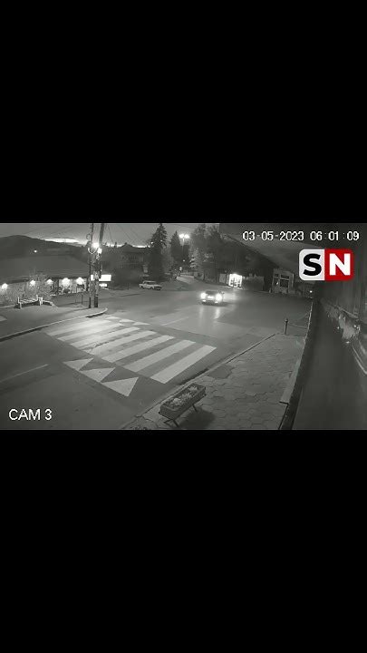 Мечката във Владая е минала покрай спирка с хора едва не се удари в кола Youtube