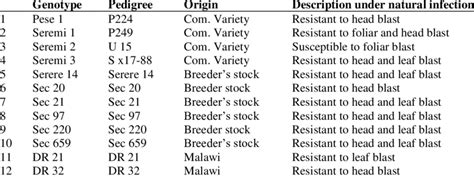 List Of Drought Tolerant Genotypes For Artificial Screening Against Download Scientific Diagram