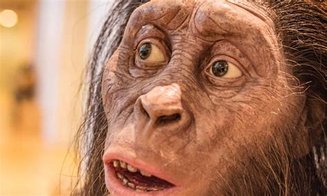Australopithecus Characteristics Facts Britannica 56 Off
