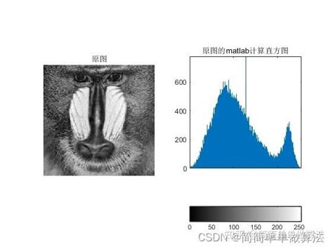 基于直方图的图像曝光量分析fpga实现包含tb测试文件和matlab辅助验证 知乎