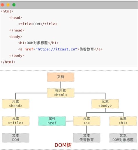javaweb js入门（自定义对象，dom，事件监听） csdn博客