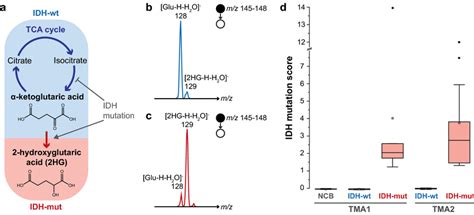 Idh Genotype Determination Using High Throughput Desi Ms In Idh Mutant Download Scientific