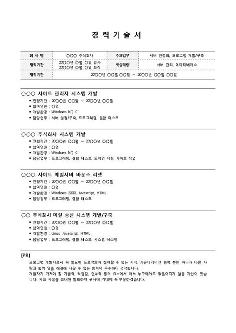경력기술서 It 프로그래머 비즈폼 샘플 양식 다운로드