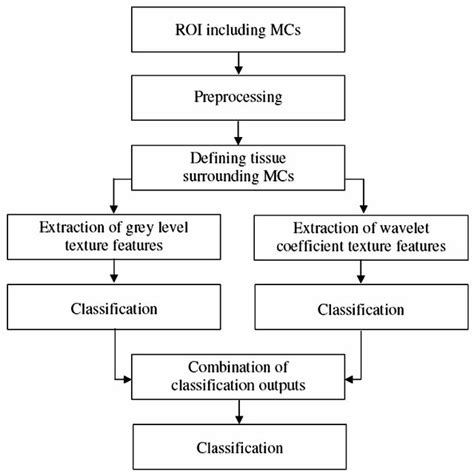 Flowchart Of The Proposed Classification Scheme Download Scientific