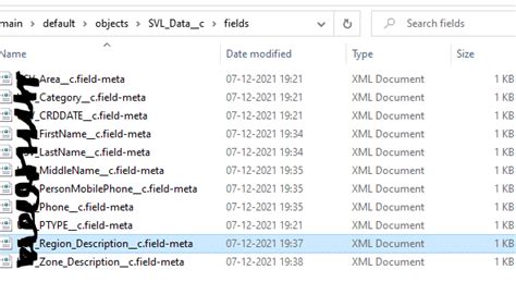 How To Effortlessly Clone Custom Objects In Salesforce Using Vscode