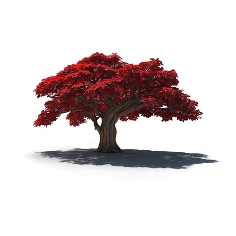 Red Tree Png Images 100