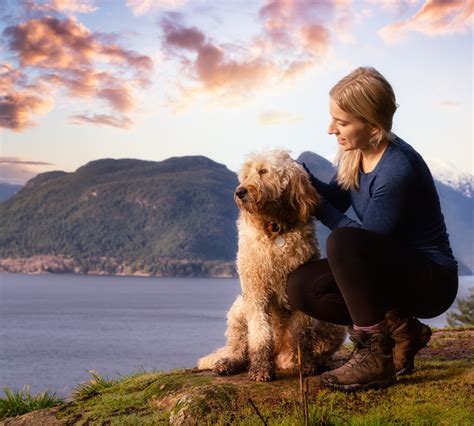 15 Tips For Dog Moms Plus Some Bonus Advice Doggyloveandmore