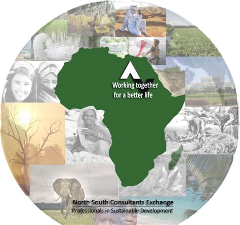 Risc Legal Academy A Common Prerequisite For Lawyer Is To Become A