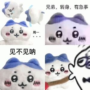 兄弟，兄弟 种 再也不缺乌萨奇表情包了！全网最火chiikawa表情包合集 可爱玩偶脸配文 兄弟，兄弟”，尽显亲昵逗趣表情包图片动图