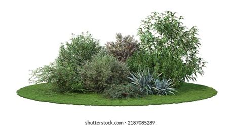 3d Render Shrubs Flowers On White Stock Illustration 2187085291
