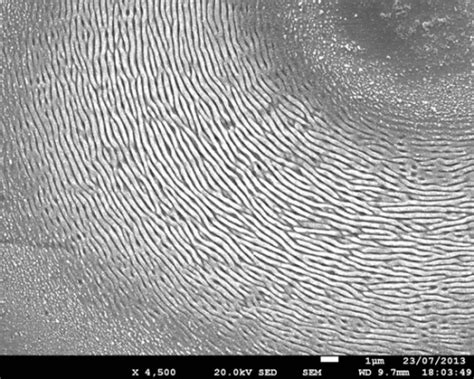 Complete Wavefront And Polarization Control For Ultrashort Pulse Laser Microprocessing