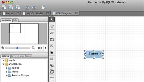 The Netbeans E Commerce Tutorial Designing The Data Model