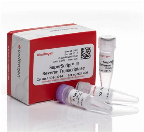 原装现货 Superscript Iii Reverse Transcriptase Superscript Iii 反转录酶